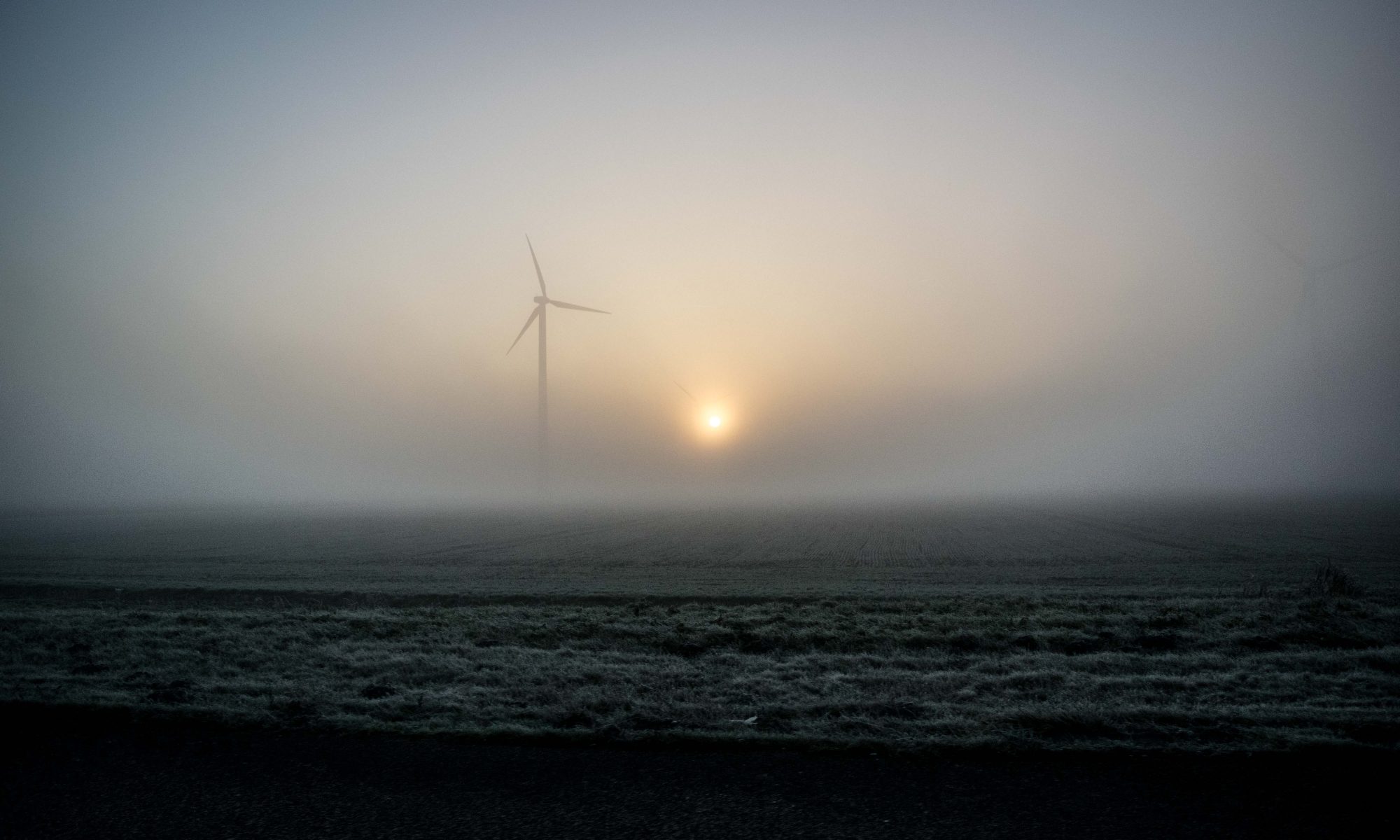 Daavid - David Sjoer